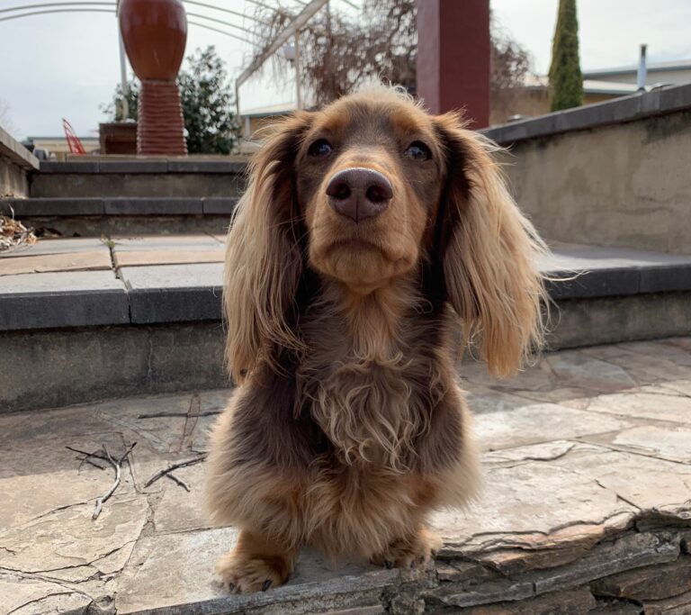 Accommodation – ibis Styles Narrabundah